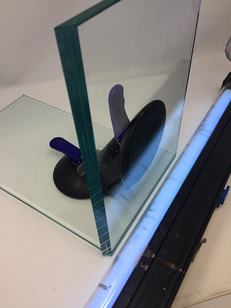 Why Do You Need a Glass Table Protector?